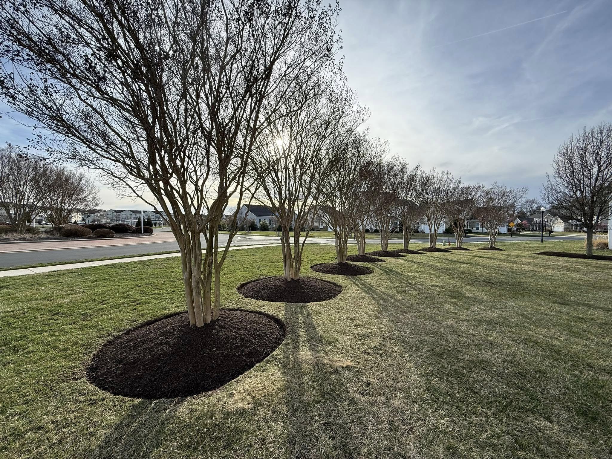 Ortiz Landscaping | Professional Landscaping in Georgetown, Delaware